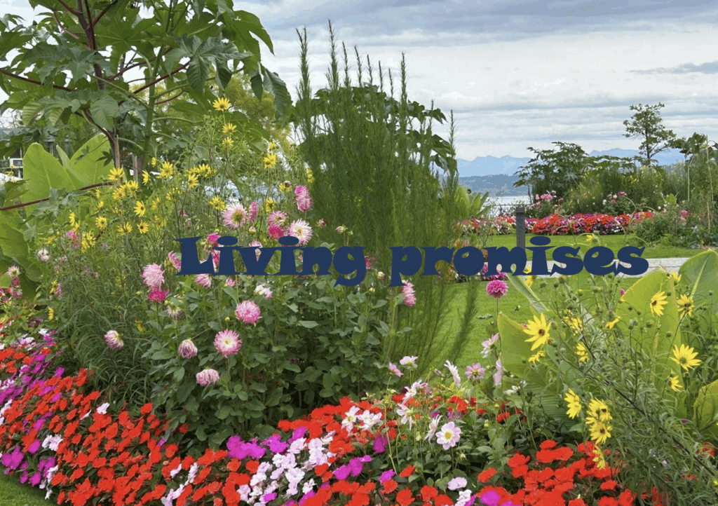 Living promises, vibrant faith – Via Metanoia